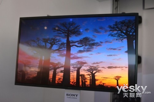 CES2013看点多 索尼4K OLED电视强悍画质_天极网