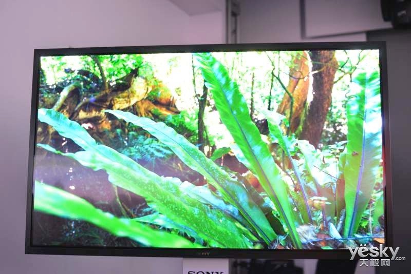 CES2013看点多 索尼4K OLED电视强悍画质_天极网